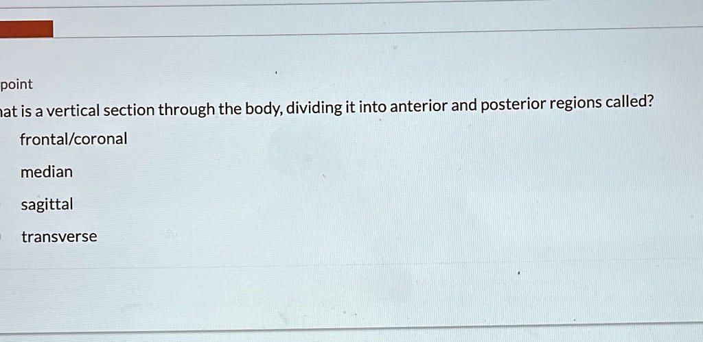 point mat is a vertical section through the body dividing it into ...