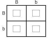 SOLVED: 'An incomplete Punnett square is shown below. Complete the ...