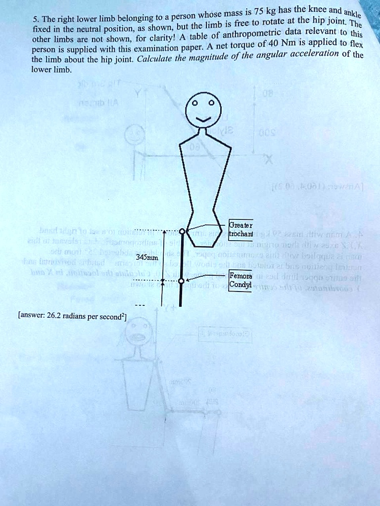 5. The right lower limb belonging to a person whose mass is 75 kg has ...