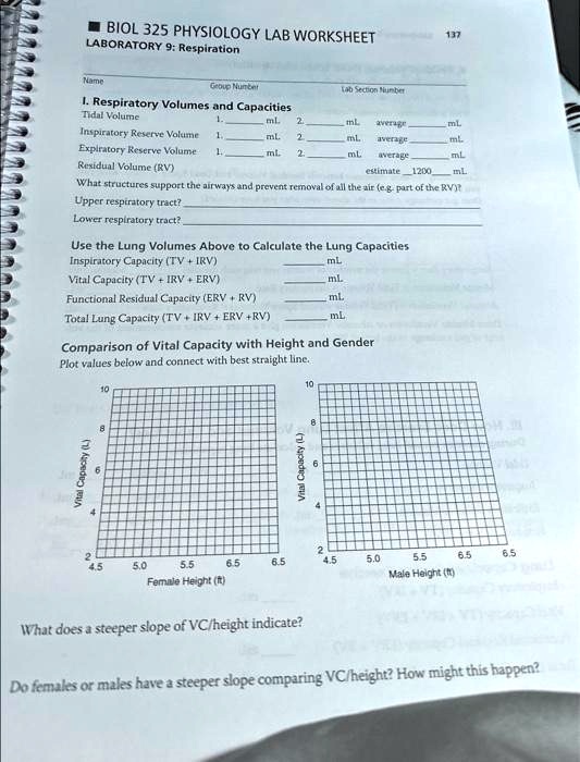 ?BIOL 325 PHYSIOLOGY LAB WORKSHEET LABORATORY 9: Respiration 137 Name ...