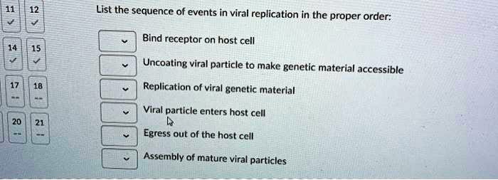 list the sequence of events in viral replication in the proper order ...