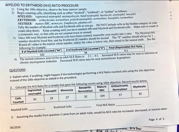 SOLVED: MYELOID TO ERYTHROID (M:E) RATIO PROCEDURE Using the 10x ...