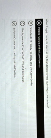 what 2 legal concepts serve as the foundation for the juvenile justice ...