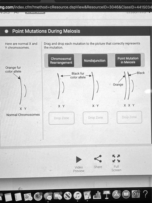 SOLVED: Text: ng com/index cfm?method-cResource dspVieweResourcelD ...