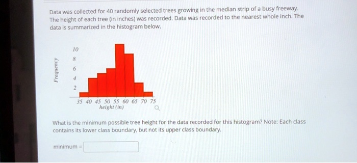 SOLVED: Data was collected for 40 randomly selected trees growing in the median strip of a busy ...