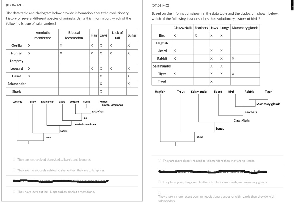 [GET ANSWER] (07.06 MC) The data table and cladogram below provide ...