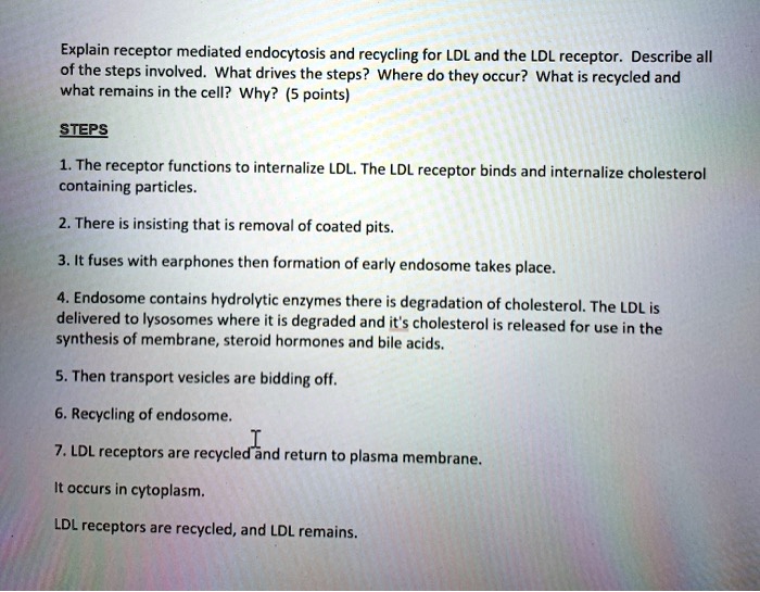 explain receptor mediated endocytosis and recycling for ldl and the ldl ...