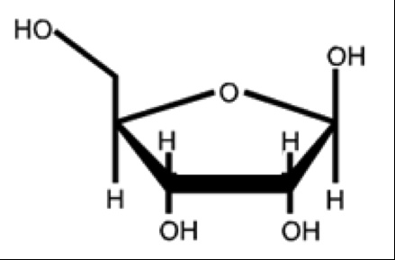 this is a diagram of ribose a simple monosaccharide what functional ...