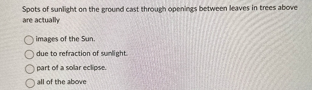 Spots of sunlight on the ground cast through openings between leaves in ...