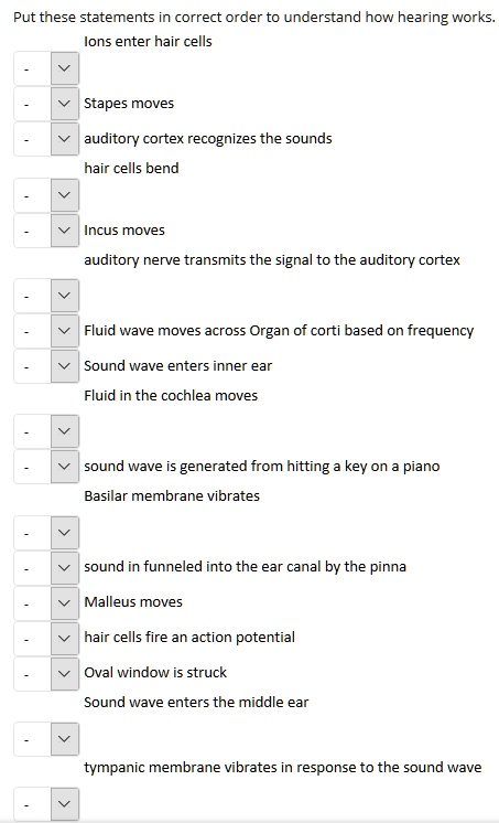 SOLVED: Put these statements in correct order to understand how hearing ...