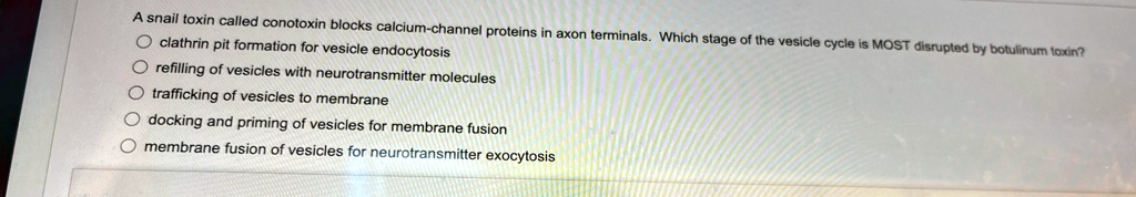 A snail toxin called conotoxin blocks calcium-channel proteins in axon ...