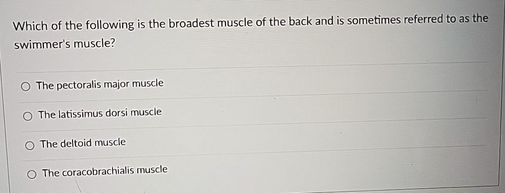 which of the following is the broadest muscle of the back and is ...