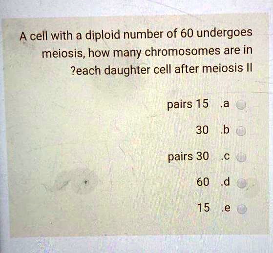 A cell with a diploid number of 60 undergoes meiosis, how many ...