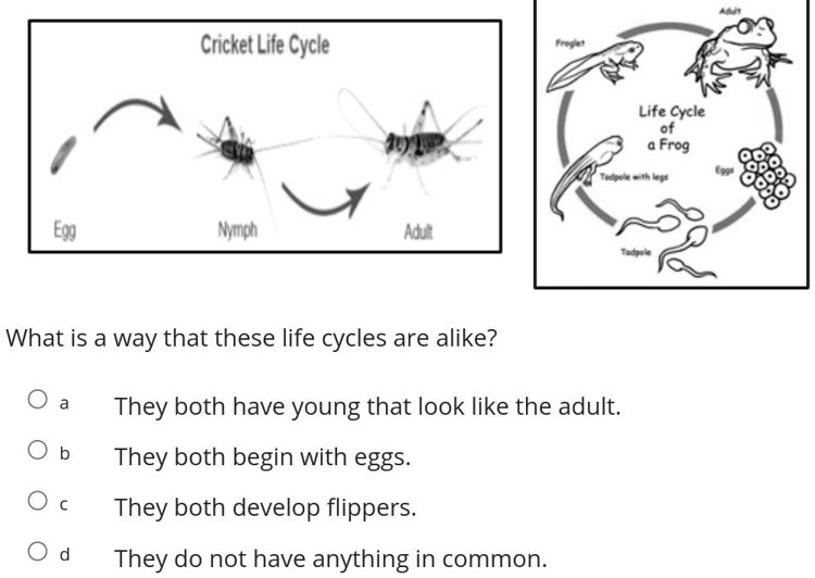 SOLVED: 'SCIENCE AWNSER PLSSSSSSSSSSSSSSSSSSSSSSSS Cricket Life Cycle ...