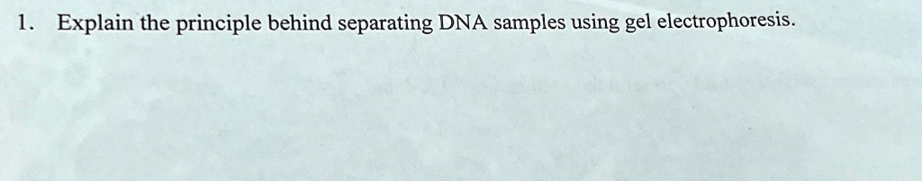 SOLVED: Explain the principle behind separating DNA samples using gel ...