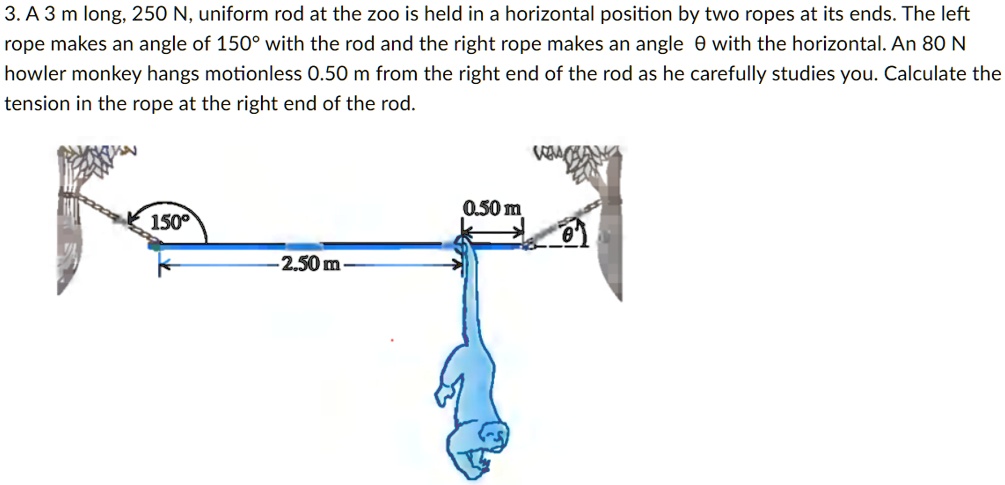 3a 3 m long 250 n uniform rod at the zoo is held in a horizontal ...