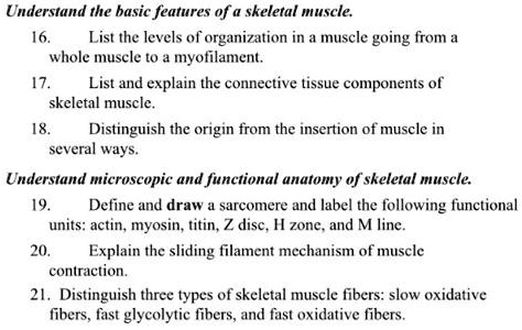 Understand the basic features of a skeletal muscle. 16. List...