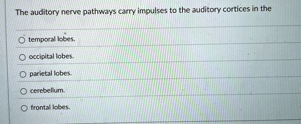 The auditory nerve pathways carry impulses to the auditory cortices in ...