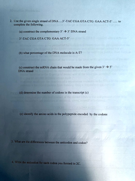 use the given single strand of dna 3 tac cga gta ctg gaa act s completc ...