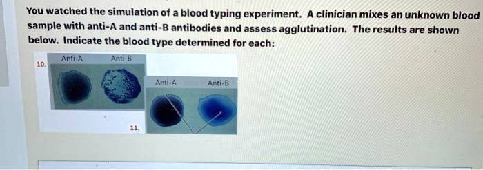 SOLVED: You watched the simulation of a blood typing experiment. A clinician mixes an unknown ...