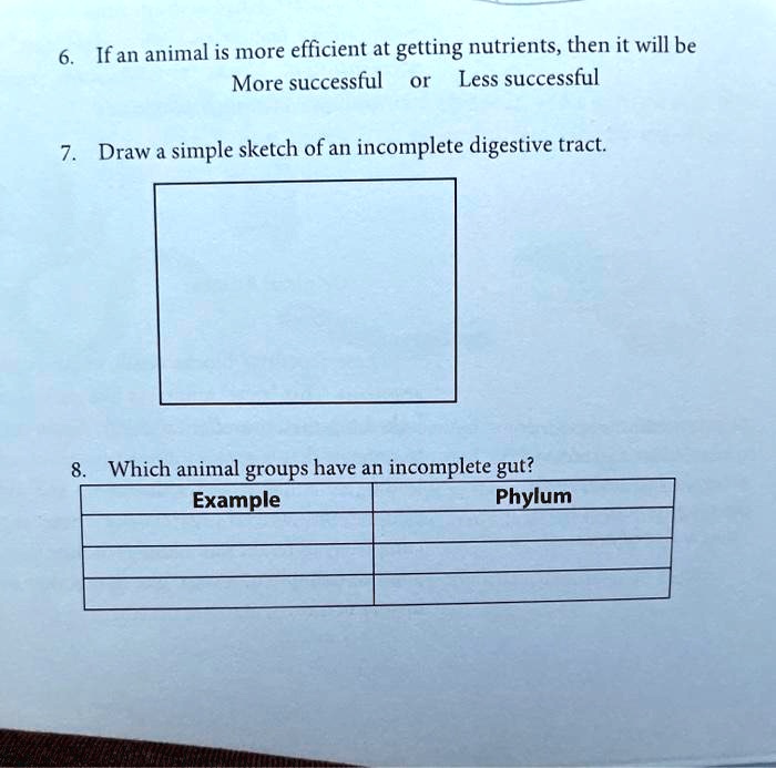 if an animal is more efficient at getting nutrients then it will be ...