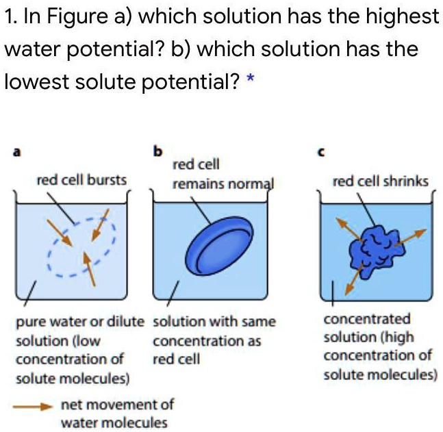 SOLVED: Can I get help? I have a final exam right now and I need an ...