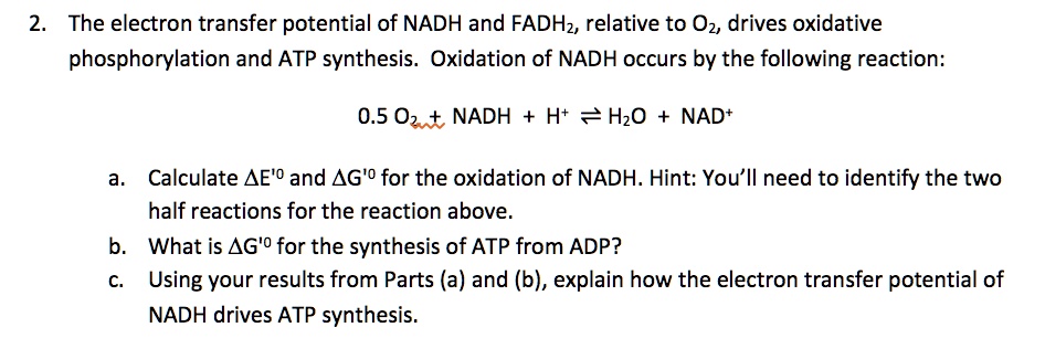 SOLVED: The electron transfer potential of NADH and FADH2, relative to ...