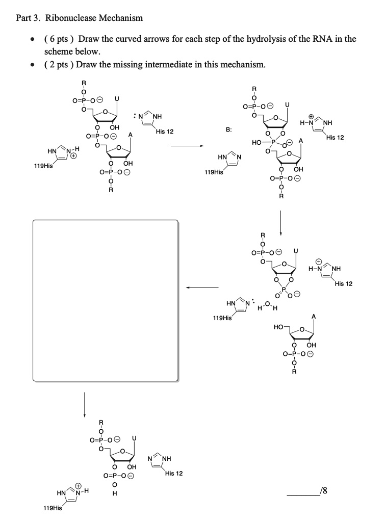 part 3 ribonuclease mechanism 6 pts draw the curved arrows for each step of the hydrolysis of ...