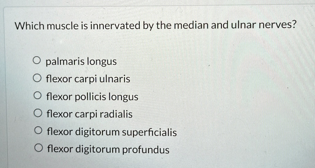 which muscle is innervated by the median and ulnar nerves opalmaris ...