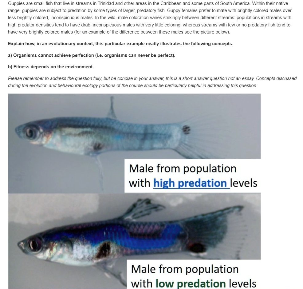 SOLVED: Guppies are small fish that live in streams in Trinidad and ...