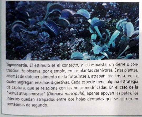 SOLVED: Resumen des esta foto plisssss..... Tigmonastia El estimulo es ...