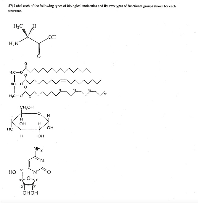 57) Label each of the following types of biological...