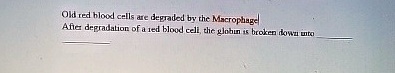 old red blood cells are degraded by the macrophage after degradation of ...