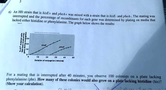 SOLVED: An Hfr strain that is hisE+ and pheA+ Wyas interrupted and the ...