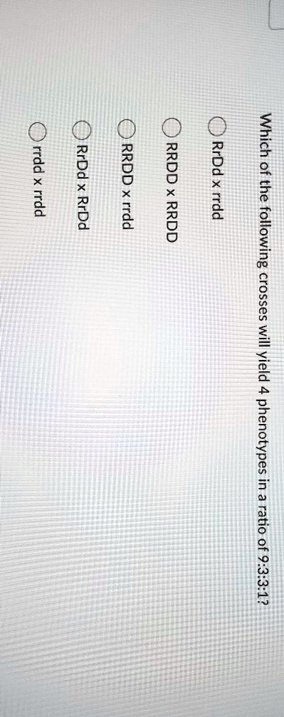 SOLVED: Which rrdd x RrDd x RRDD X RRDD RrDd x Jo rrdd rrdd the RrDd ...