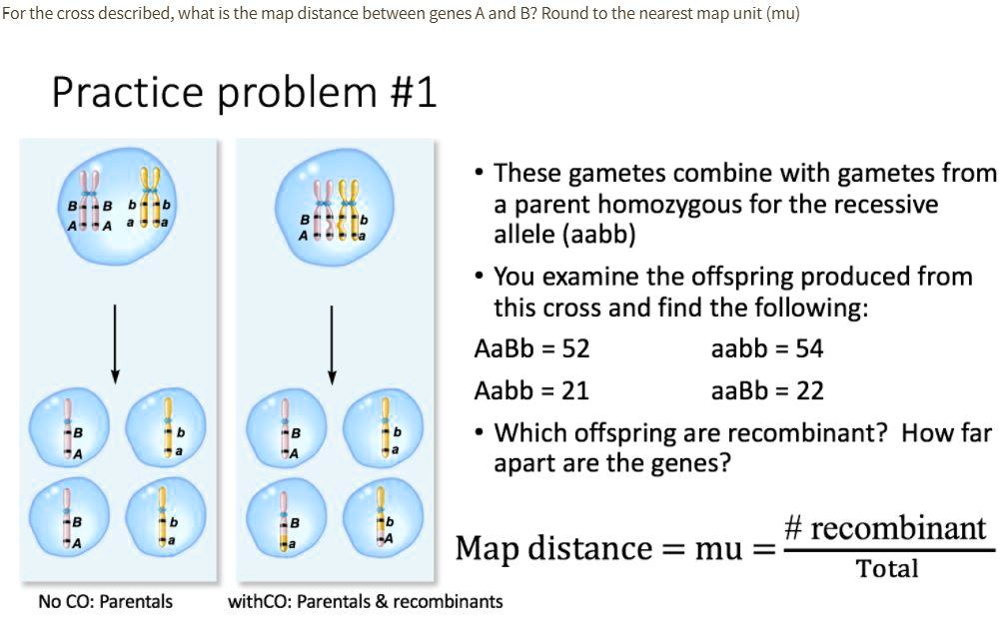 SOLVED:For the cross described, what is the map distance between genes ...