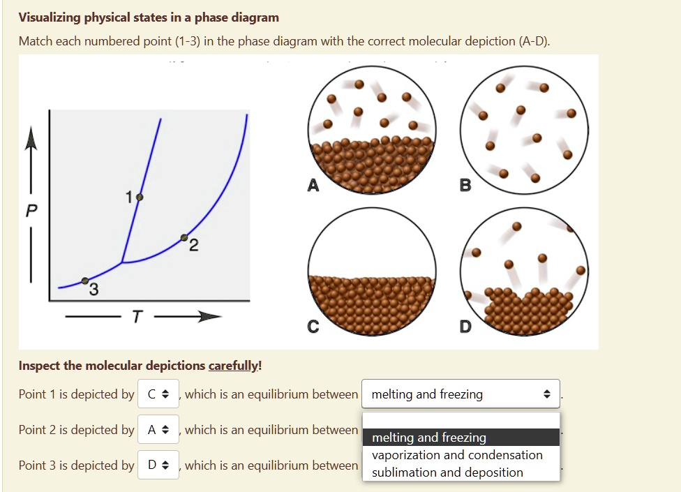 SOLVED: Visualizing physical states in a phase diagram. Match each ...