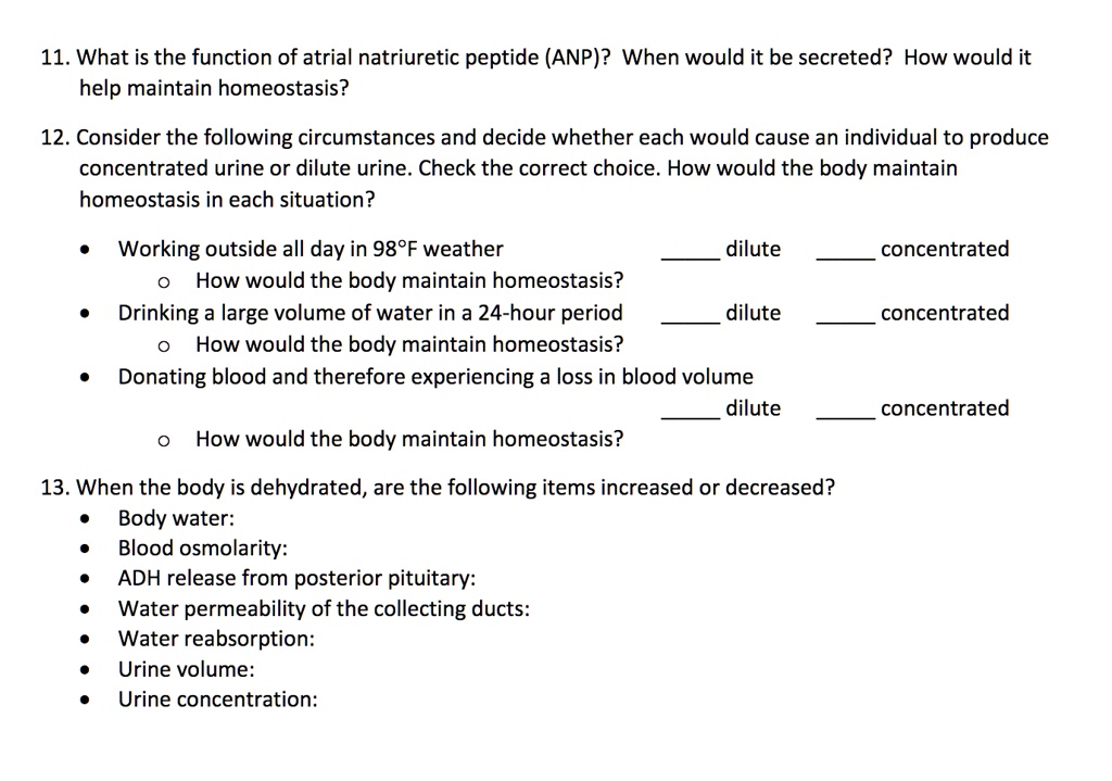 SOLVED: 11. What is the function of atrial natriuretic peptide (ANP ...