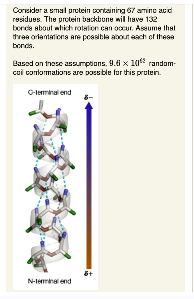 SOLVED: Consider a small protein containing 67 amino acid residues. The ...