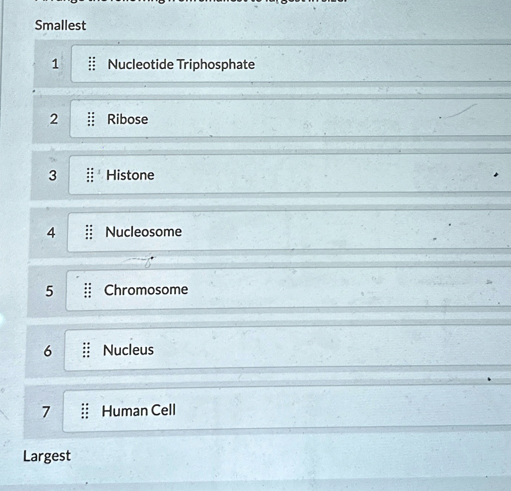 smallest 1 nucleotide triphosphate 2 ribose 3 histone 4 nucleosome 5 chromosome 6 nucleus 7 ...