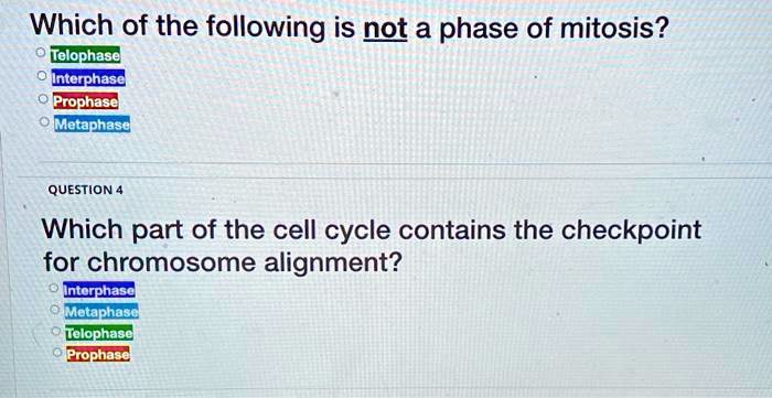 SOLVED: Which of the following is not a phase of mitosis? Holophase ...