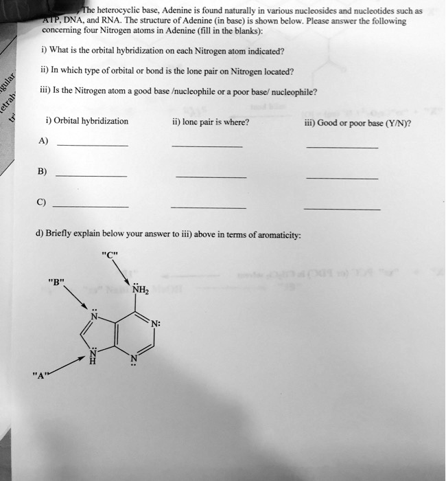 The heterocyclic base, Adenine is found naturally in various ...
