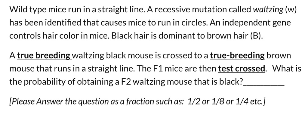 Wild type mice run in a straight line. A recessive mutation called ...