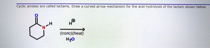 SOLVED: Cyclic amides are called lactams. Draw curved arrow mechanism ...