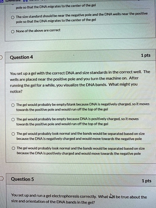 SOLVED: Pole so that DNA migrates to the center of the gel. The size ...