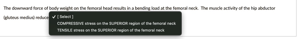 The downward force of body weight on the femoral head results in a ...