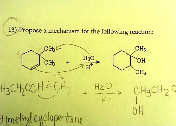 SOLVED: Propose a mechanism for the following reaction: CH3 CH3 H2O CH3 â†’ CH3CH2OH dimethyl ...