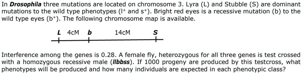 SOLVED:In Drosophila three mutations are located on chromosome 3. Lyra ...