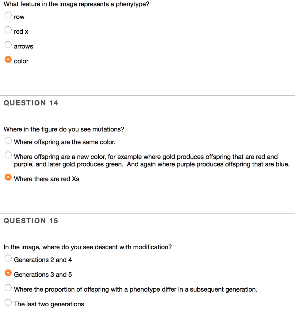 SOLVED: What feature in the image represents a phenotype? row red X arrows color QUESTION 14 ...