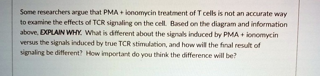 SOLVED: Some researchers argue that PMA + ionomycin treatment of T ...